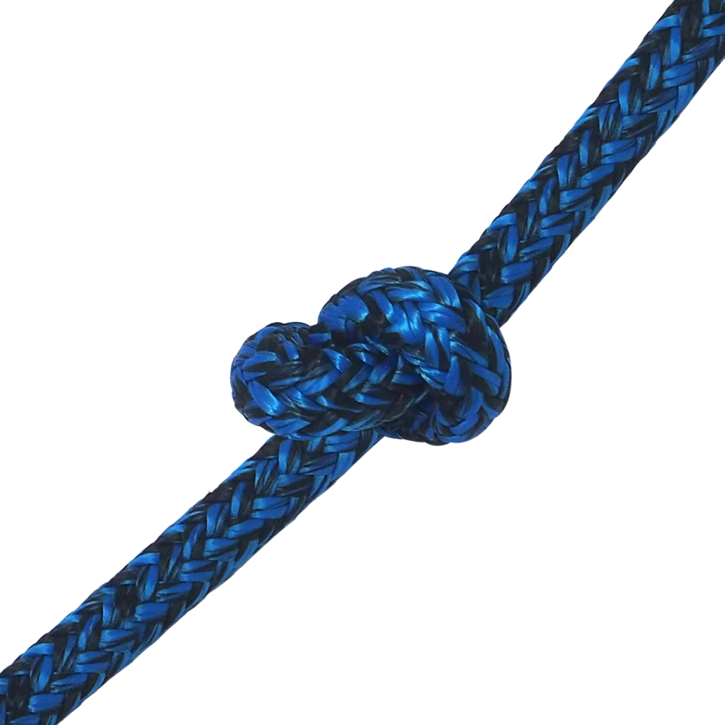 Homepage - Evo Dinghy